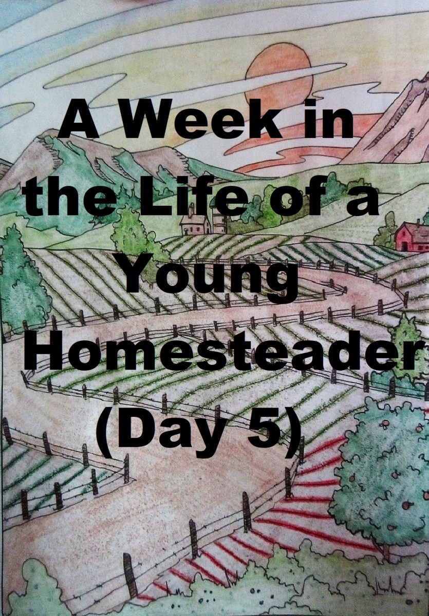 A Week in the Life of a Young Homesteader (Day 5) – Farm Girl Homesteading